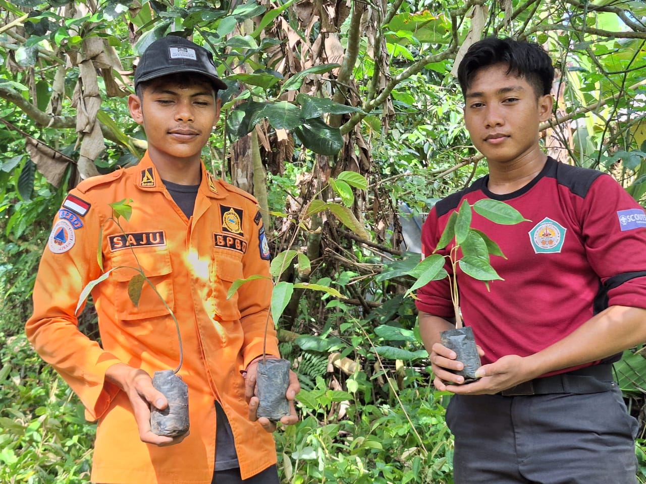 BPBD Kabupaten Lombok Tengah dan Pramuka Peduli Sumbangkan 2000 Bibit ...